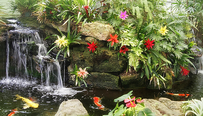Sherman Library And Gardens Went To The Sherman Library & Gardens In